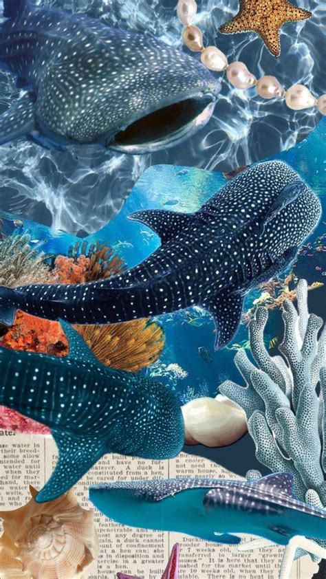 48 Ideias De Sharks Wallpapers•• Tubarões Biologia Marinha Tubarão