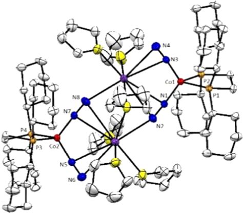 Dinitrogen Functionalization Affording Structurally Well Defined Cobalt Diazenido Complexes