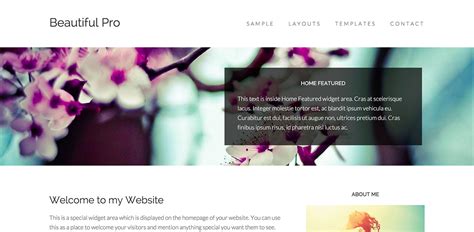 How To Add Widget Overlay On A Responsive Inline Image On The Front Page In Beautiful Pro