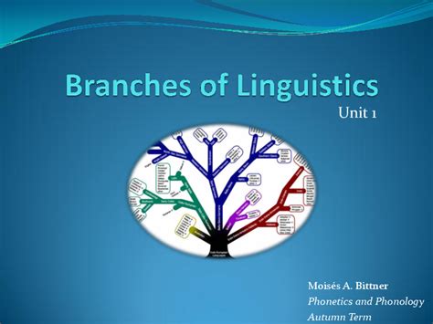 Pdf Branches Of Linguistics