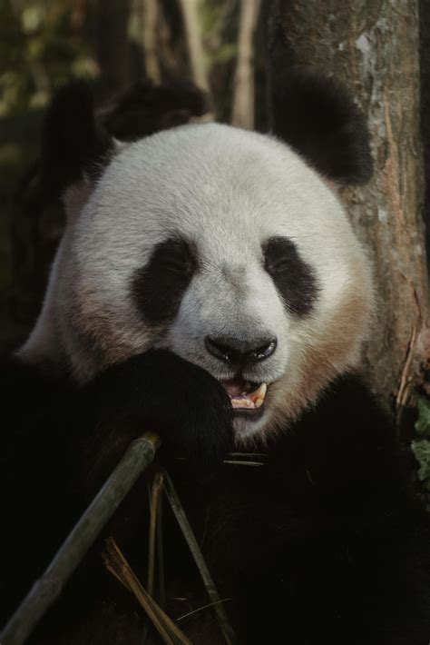 Tekeyah Singh Pictures Photos Download The Best Free Tekeyah Singh