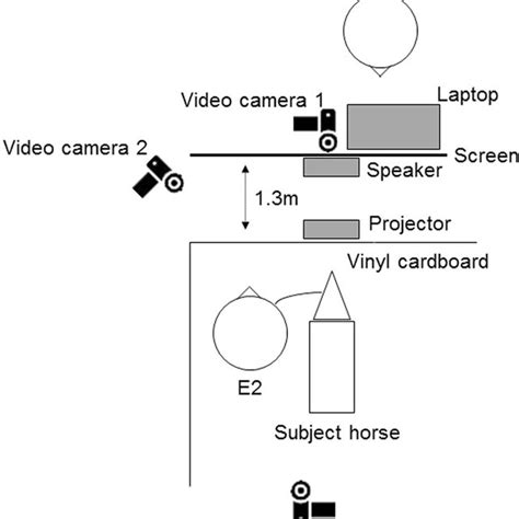 The Experimental Set Up Visual Stimuli Were Presented On The Screen