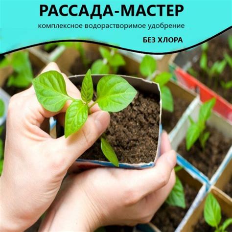 Рассада мастер Комплексное удобрение купить с доставкой по выгодным ценам в интернет магазине