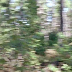 Grimesphilia On Tumblr