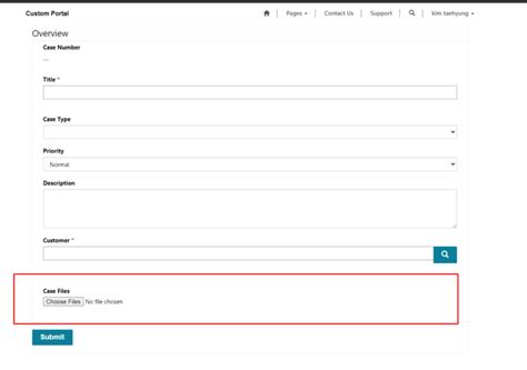Add Multiple File Control On The Basic Form Of Powerapps Portal
