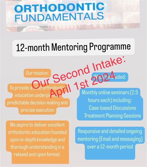12 Month Mentoring Programme Second Intake April 1st 2024 We Set Up