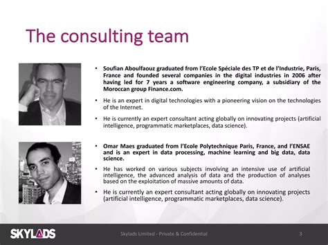 Skylads Big Data For Telcos Ppt