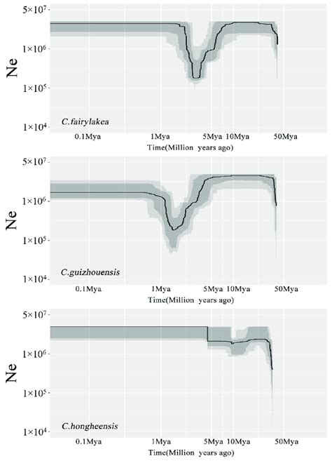 Historical Effective Population Sizes Of Five Cycas Species Black