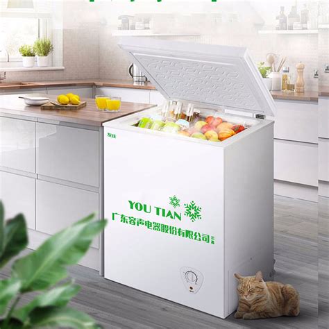 ตู้แช่แข็ง ตู้แช่เย็น Chest Freezer ความจุ 39ลิตร ตู้เย็นแช่แข็ง ตู้แช่อาหารสด ตู้เย็นแช่ฟิต