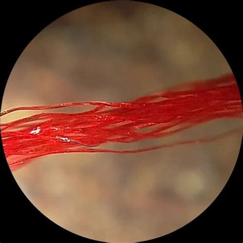 Semi And Twist Multifilament Sewing Thread Packaging Type Carton At