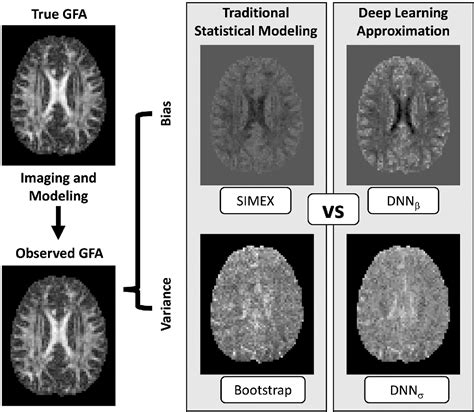 figure 1 from a deep learning approach to estimation of subject level bias and variance in high