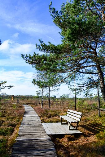 독일 바이에른 주 론의 검은 무어의 벤치와 길 Unesco 조직된 단체에 대한 스톡 사진 및 기타 이미지 Unesco 조직된 단체 가을 공원 Istock