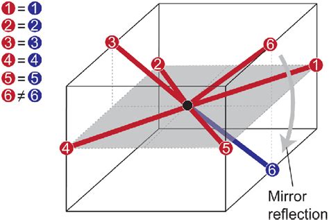 Two Nodes Share The Same First Five Neighboring Vertices And Differ In Download Scientific