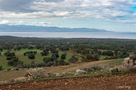 Κυπριακό Μαρωνίτικο Βήμα Cyprus Maronite Podium Η ΘΕΙΑ ΣΤΑΥΡΩΣΗ And ΕΠΙΤΑΦΙΟΣ ΜΕΓΑΛΗ