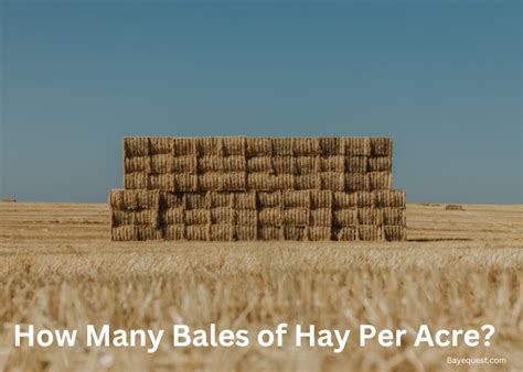 How Many Bales Of Hay Per Acre Can You Produce Solved