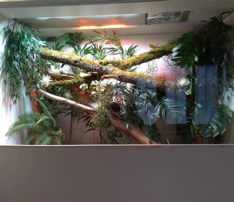 Fcp S Enclosure For Boelen S Python