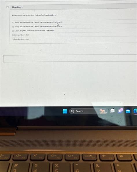 Solved Question 1 Rna Polymerase Synthesizes Chains Of