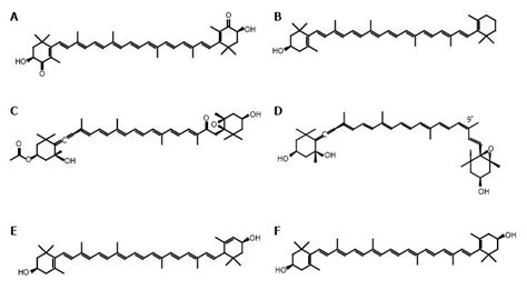 Xanthophyll Magazines