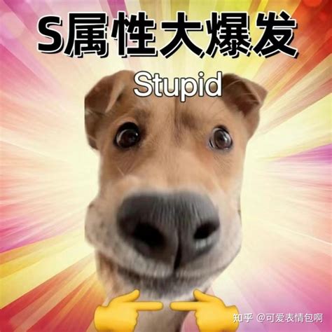 S属性大爆发┃近期热门表情包 知乎