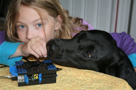 Lego Raspberry Pi Case For A And B Model 8 Steps With Pictures