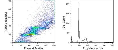 Not Getting G Phase Of The Cell Cycle On FlowJo