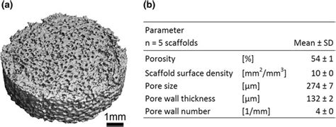 Micro Ct Image Of A β Tcp Scaffold B Scaffold Parameters Assessed By