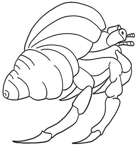 Раскраски рак отшельник 18 раскрасок скачать или распечатать бесплатно