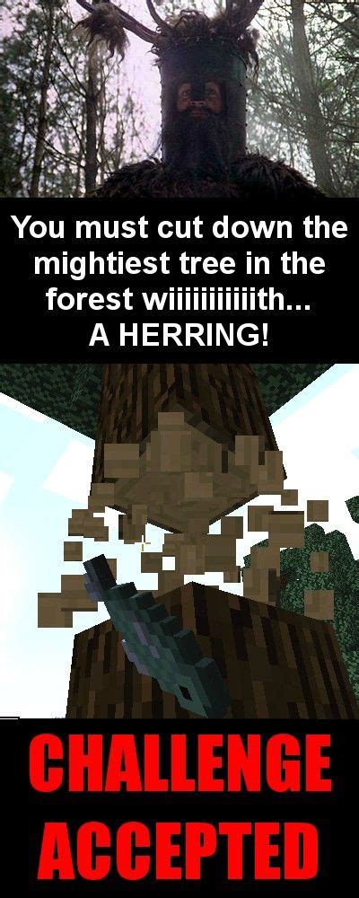 Pin By Chelsea Sharp On Monty Python Monty Python Minecraft Funny Minecraft