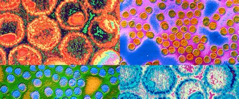 Everything You Need To Know About Sexually Transmitted Diseases Stds