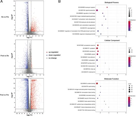 Differential Expression Analysis And Functional Enrichment Across Download Scientific Diagram