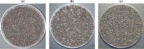 Figure 1 From Convolutional Neural Network Model For Variety Classification And Seed Quality