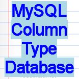 MySQL Column Type Database