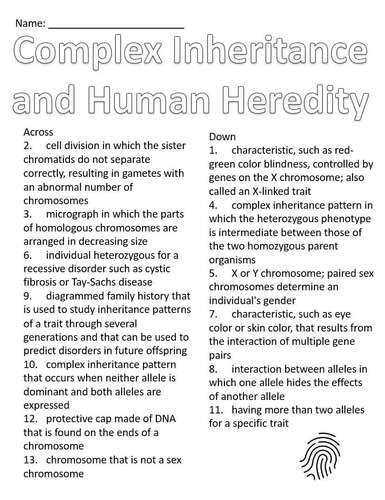 Complex Inheritance And Human Heredity Vocabulary Crossword Puzzle