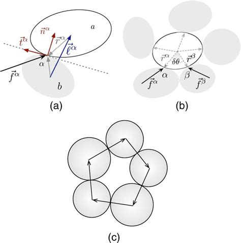A Contact Geometry B First Shell Particle Environment With Angular Download Scientific