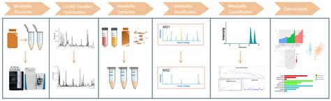 Gmp Analysis Service Mtoz Biolabs