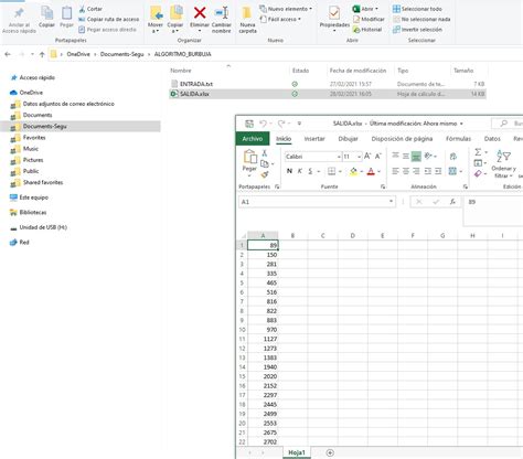 Programar Algoritmo De Burbuja En Python Con Datos De Un Txt Excel Signum