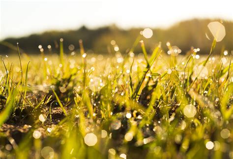 Lcp Updates Visualise Technology Platform To Give Schemes An Integrated Picture And More