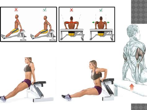 Лучшие упражнения для трицепсов