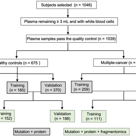 Design Of The Study Scheme For The Mutation And Protein Test Model