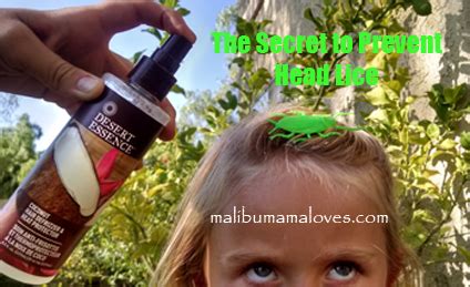 The Secret To Prevent Head Lice MALIBU MAMA LOVES