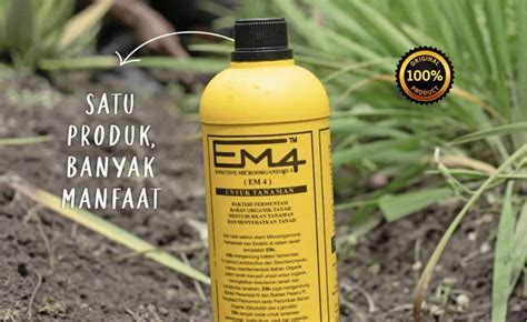 Perbedaan Em4 Dan 21 Bagus Mana Litle Magz