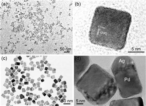 Figure 1 From Highly Sensitive Mems Sensor Using Bimetallic Pdag