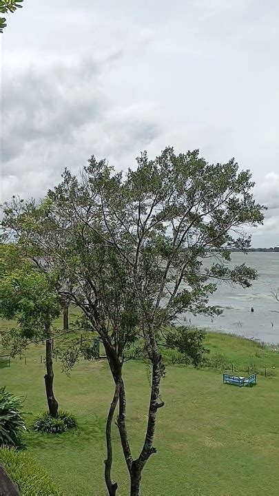 සුන්දර තිසා වැව අසල පිහිටා ඇති Lake Forest Hotel Anuradhapura Youtube