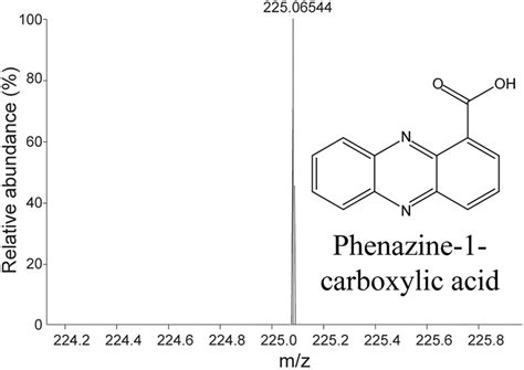Mass Spectra And Chemical Structure Of Antifungal Pca Download