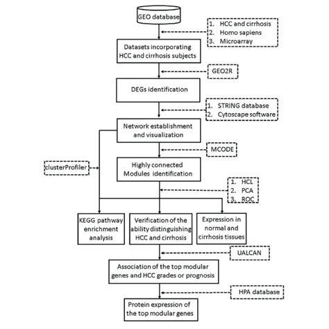 workflow for bioinformatics analysis geo gene expression omnibus download scientific