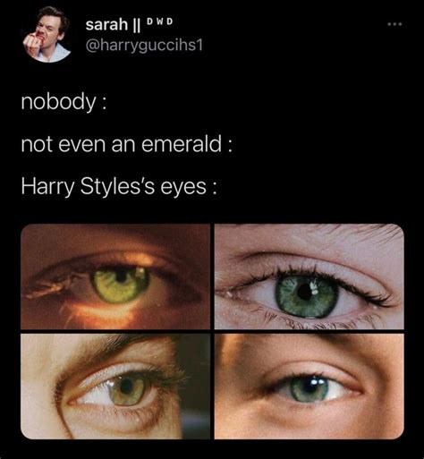 Pin By Niall And The Potatoes On Haz Harry Styles Funny Harry Styles Eyes Harry Styles Pictures