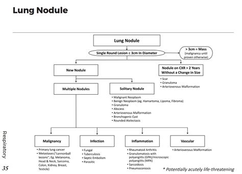 Pulmonary Nodule Algorithm