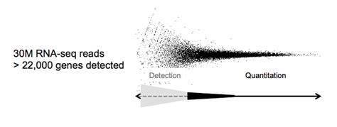 Low Input Rna Seq Ever Wondered How Much Of Your Total Rna Is Of Any