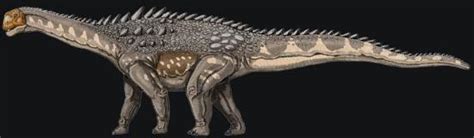 Ampelosaurus Pictures And Facts The Dinosaur Database