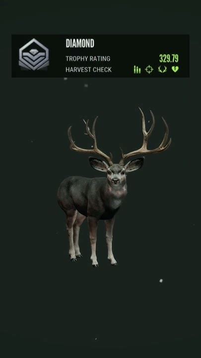 Diamond Mule Deer On Askiy Ridge The Hunter Call Of The Wild Cotw Thehunter Youtube